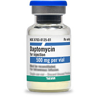 Daptomycin 500 mg SDV, 1/Box | Dealmed Medical Supplies